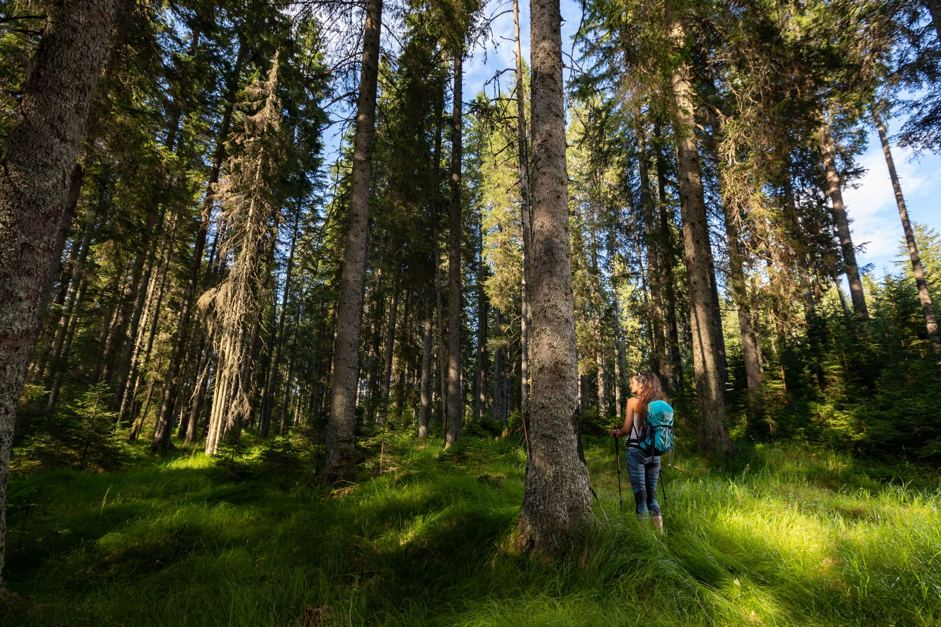 Einzigartig abgeschieden – Fernwandern auf dem Juliana Trail | Wander ...