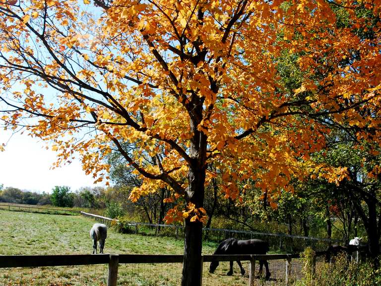 Kline Creek Farm via Illinois Prairie Path Elgin Path trail — Timber ...