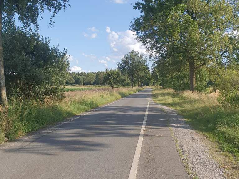 Shortcut between B214 and B188 - Road Cycle Routes and Map | Komoot