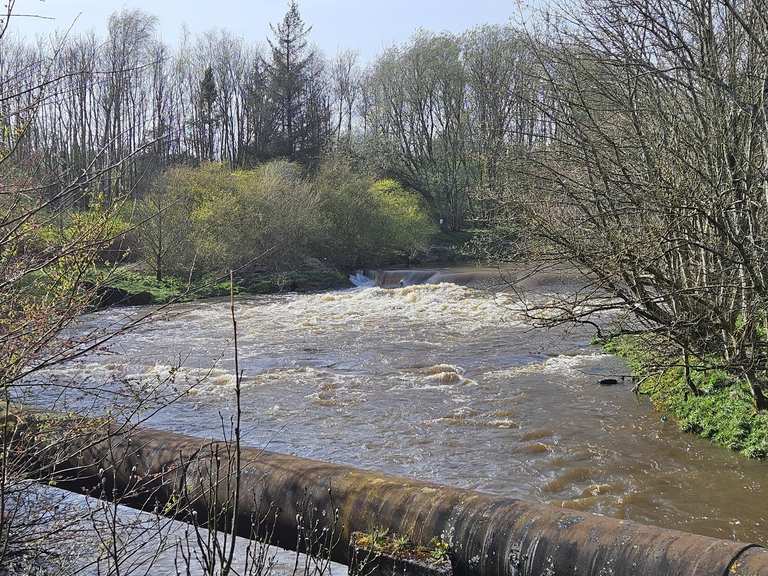 River Garnock Mountain Bike Trails & Tracks | Komoot