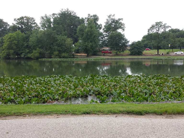 Haddon Lake Park loop — Haddon Heights | Wanderung | Komoot