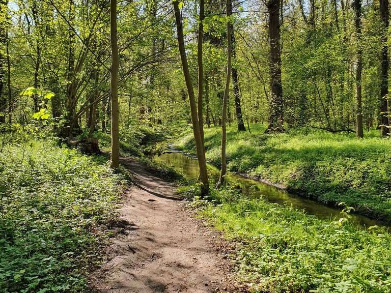 Altwarmbüchen moor nature reserve and lake - loop from Hanover | gravel ...