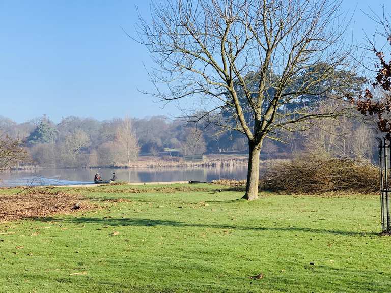 Hatfield Forest: Wanderungen und Rundwege | komoot