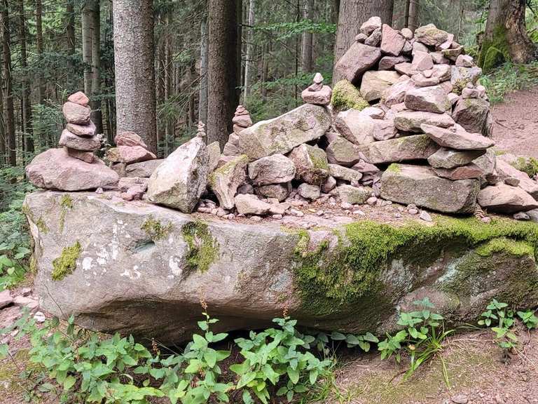 Coupe de Bollenbach - Itinéraires de rando et marche | Komoot