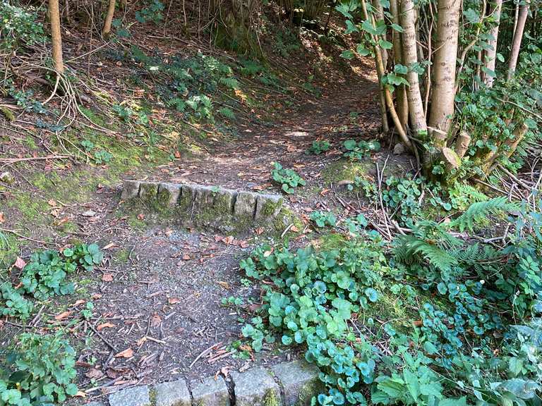 Waldweg im Naturpark Neckartal-Odenwald – Radrouten & Anfahrt | Komoot