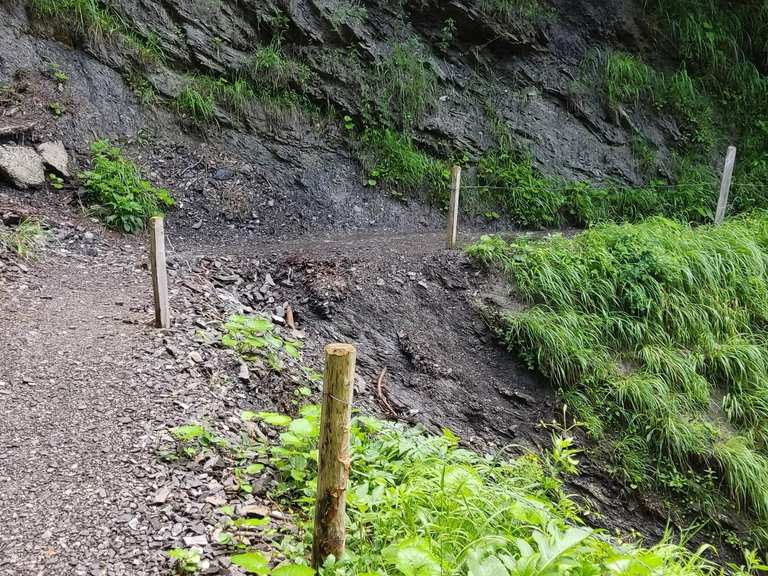 Axenstrasse-Umgehungstrail: Rennradfahren und Rennradtouren | komoot