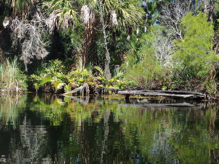 Hog Ponds Trail Cycle Routes and Map | Komoot