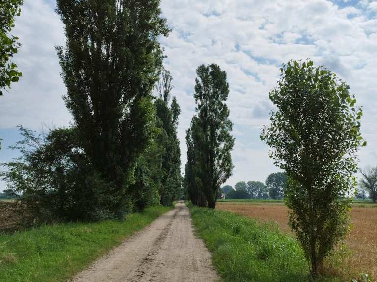 Dem heiligen Petrus geweihte Kirche, Landschaft Maleo/Argine Adda ...
