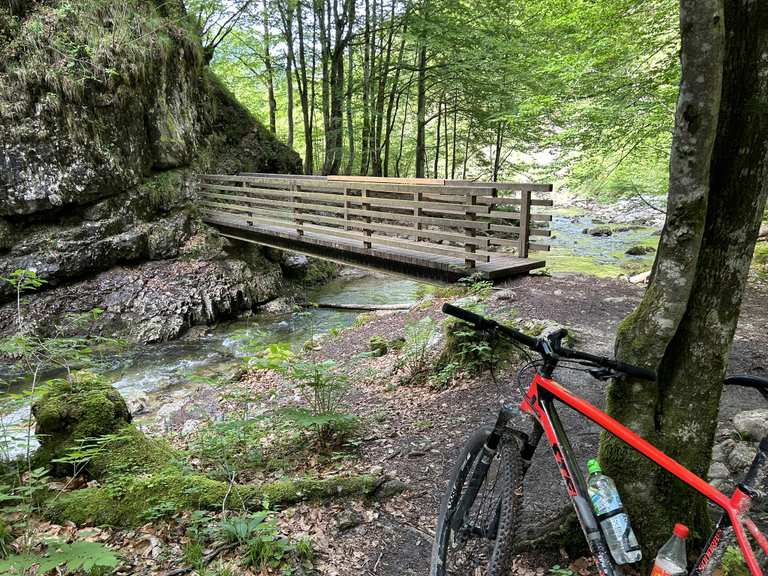 Fischbach Bridge - Mountain Bike Trails & Tracks | Komoot
