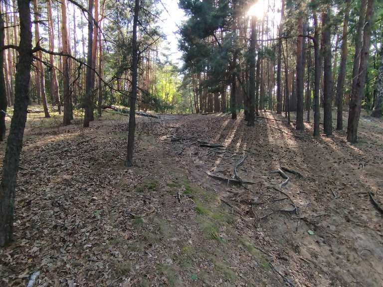 Technische Abfahrt und Auffahrt (zwei Varianten): Mountainbike-Touren ...
