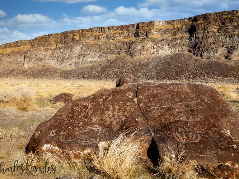 Wees Bar Petroglyphs Trail — Morley Nelson Snake River Birds of Prey ...