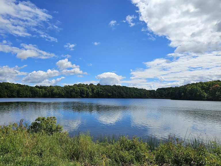 Hudson Springs Lake: Wanderungen und Rundwege | komoot
