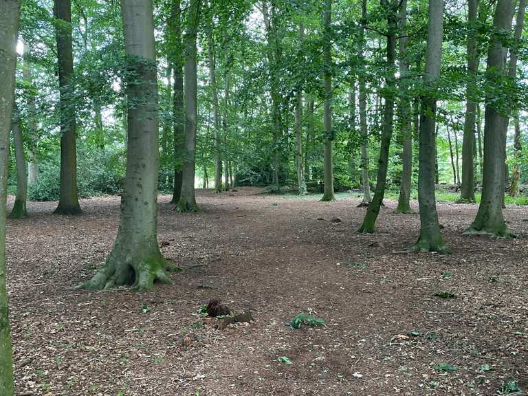 Single trail behind the school - Mountain Bike Trails & Tracks | Komoot