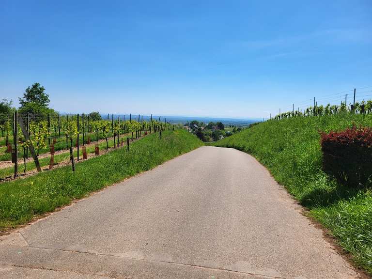 Ascent to Col Amic – Cycling Routes & How to Get There | Komoot