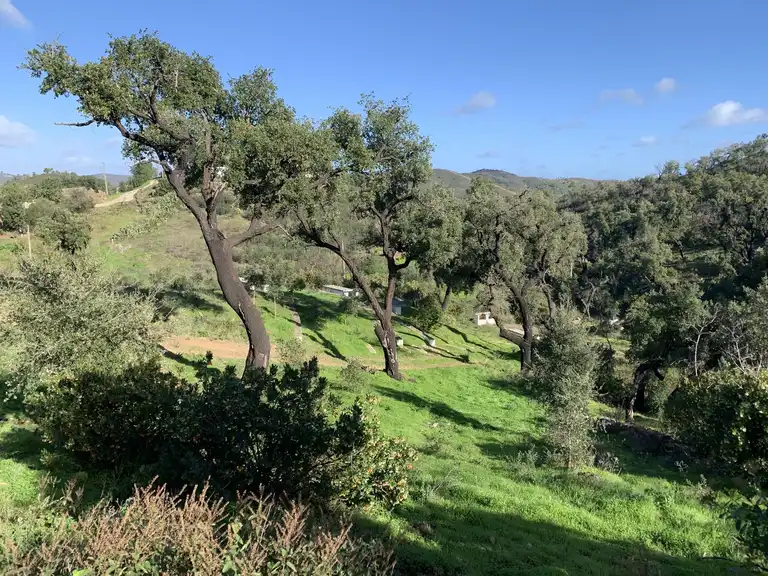 Fonte de Água de Tábuas — circular route (PR14 TVR) | hike | Komoot