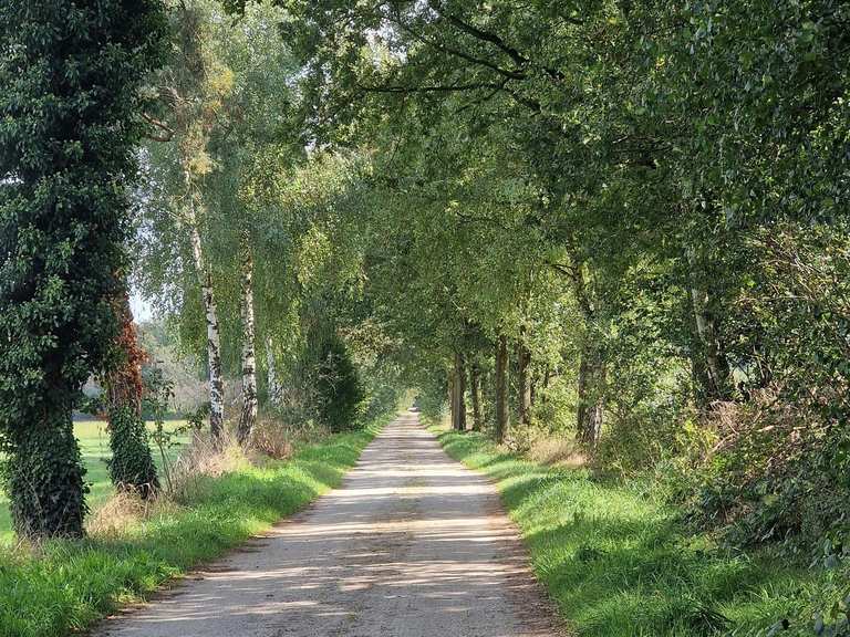 Zomervreugdweg Gravelweg - fietsroutes en kaart | Komoot