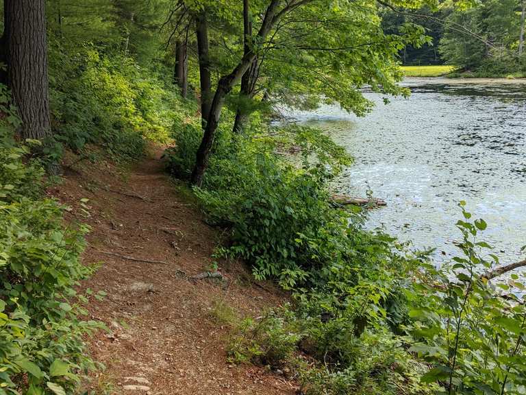 Chenango Lake Trail loop — Chenango Valley State Park | wandeling | Komoot