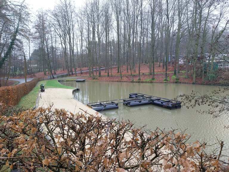 Elisabethsee: Wanderungen und Rundwege | komoot