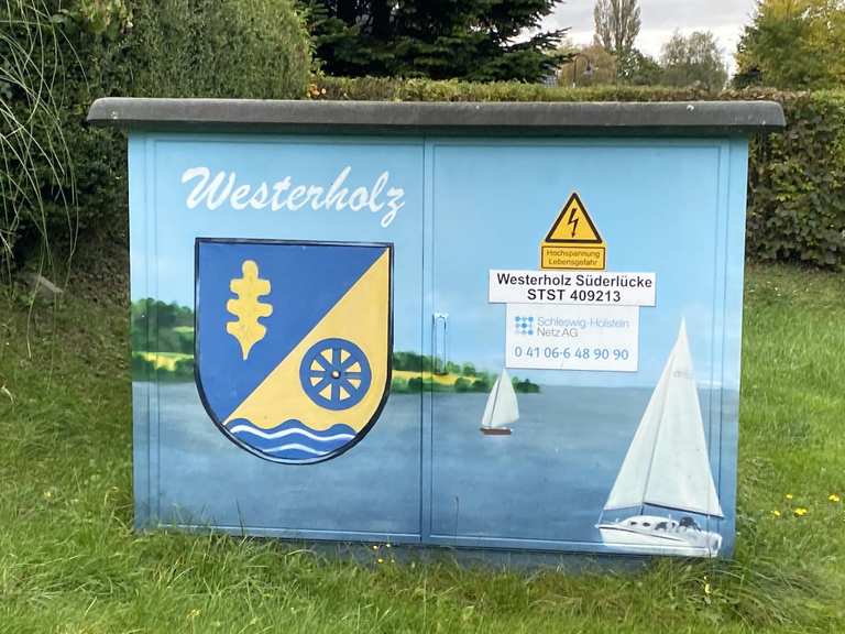 Westerholz Utility Box Mural - Mountain Bike Trails & Tracks | Komoot