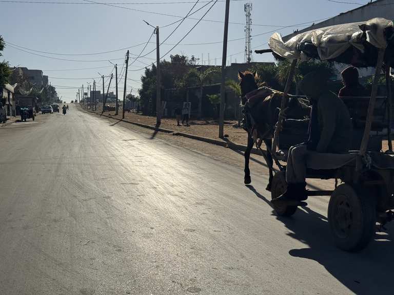 Sidi Taibi - Kenitra P4266: Rennradfahren und Rennradtouren | komoot