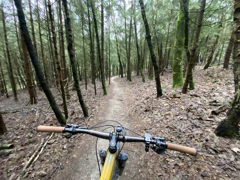 Mountain Bike Descent Trail – Utrechtse Heuvelrug – Cycling Routes ...