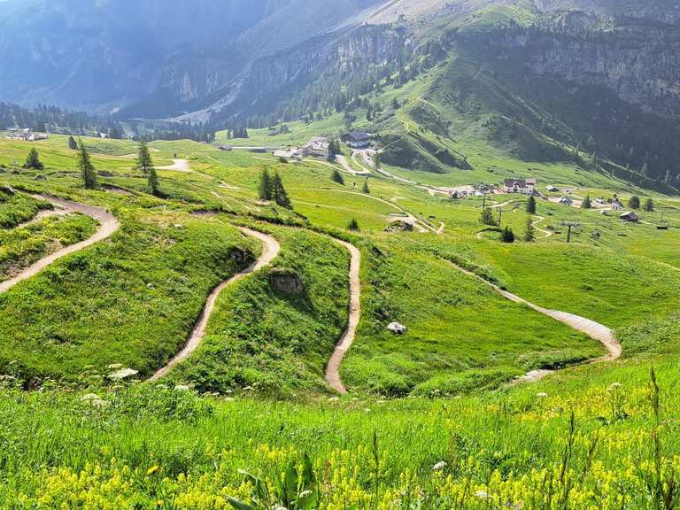 303a Trail Arena Tour | Mountainbike-Tour | Komoot