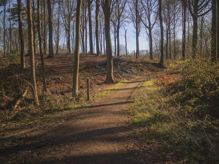 Le Sentier forestier transfrontalier — Parc naturel du Pays des ...