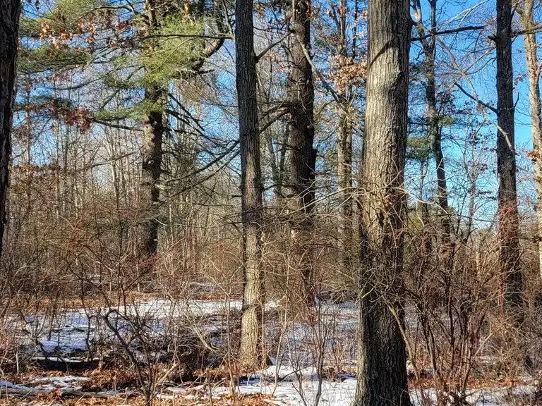 Panamoka Pine Barrens State Forest to Otis Pike Preserve West via ...
