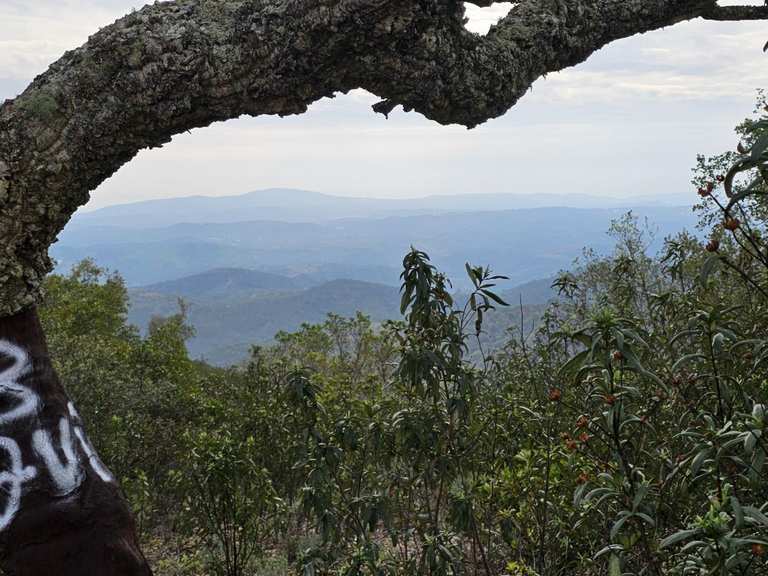 Fonte de Água de Tábuas — circular route (PR14 TVR) | hike | Komoot