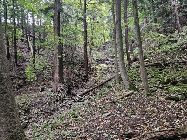 Tiffany and Shaver Falls — Hamilton | hike | Komoot