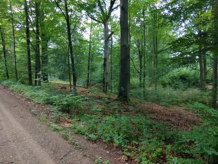 zerklüfftete Landschaft durch Salztektonik : Radtouren und Radwege | komoot