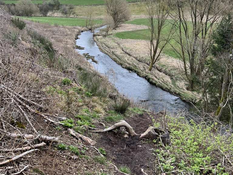 Warche: Wanderungen und Rundwege | komoot