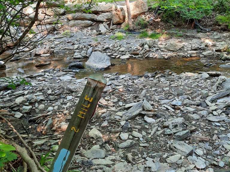 Turkey Hill Trail & Enola Low Grade Trail loop — Turkey Hill Nature ...