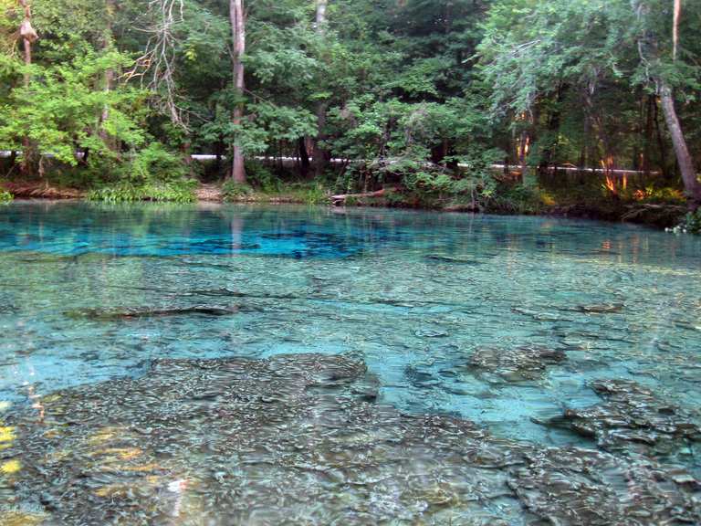 Ginnie Springs loop — Gilchrist, Florida | ハイキング | komoot