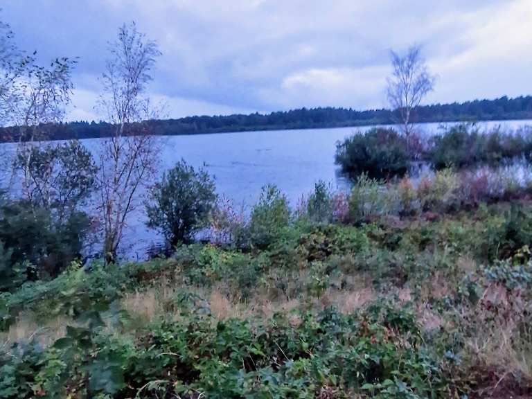Uitzicht op Reindersmeer: Wanderungen und Rundwege | komoot