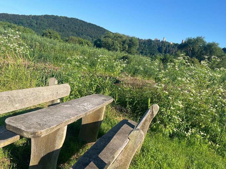 Rest area on the Werra riverbank with views of Brandenburg Castle ...