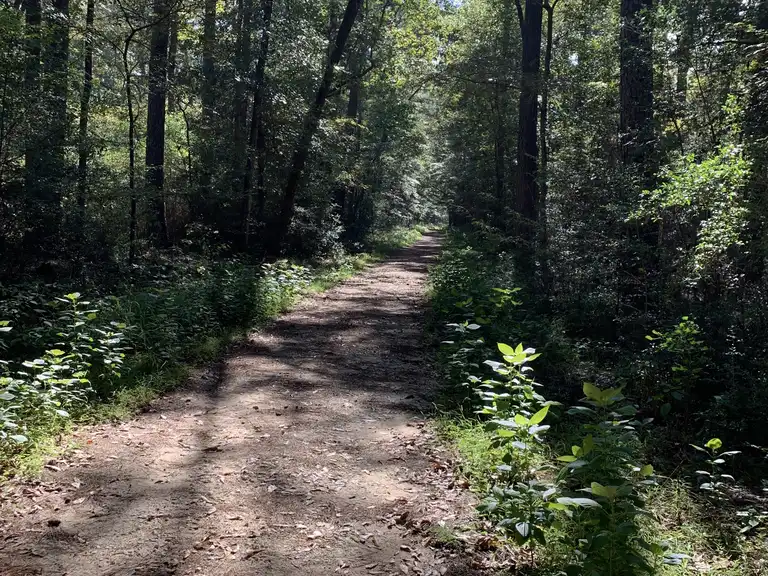 Huntsville State Park loop via the Triple C Trail | gravel ride | Komoot