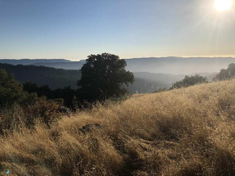 Turtle Rock via Saratoga Gap Trail — Long Ridge Open Space Preserve ...