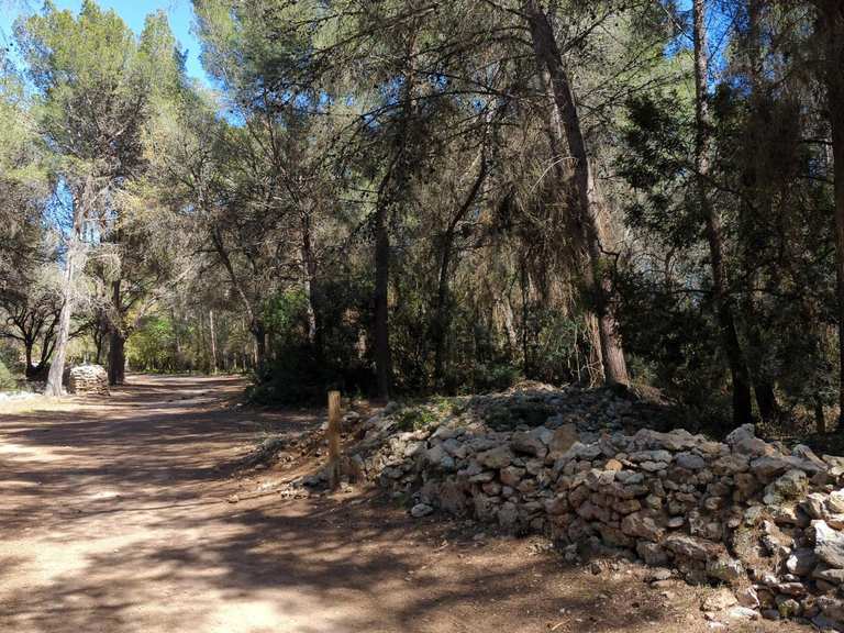 Les Aresquiers | randonnée pédestre | Komoot