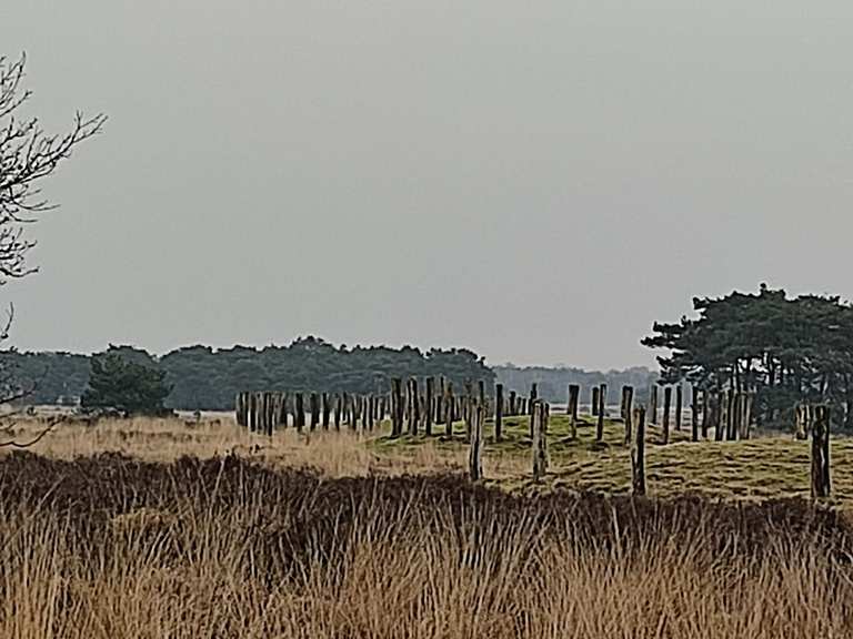 Grafheuvels Regte Heide: Wanderungen und Rundwege | komoot