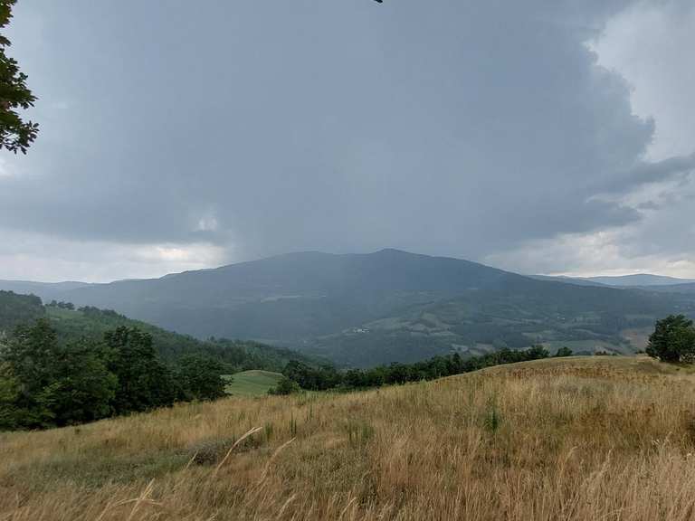 Impassable Trail Mountain Bike Trails & Tracks | Komoot