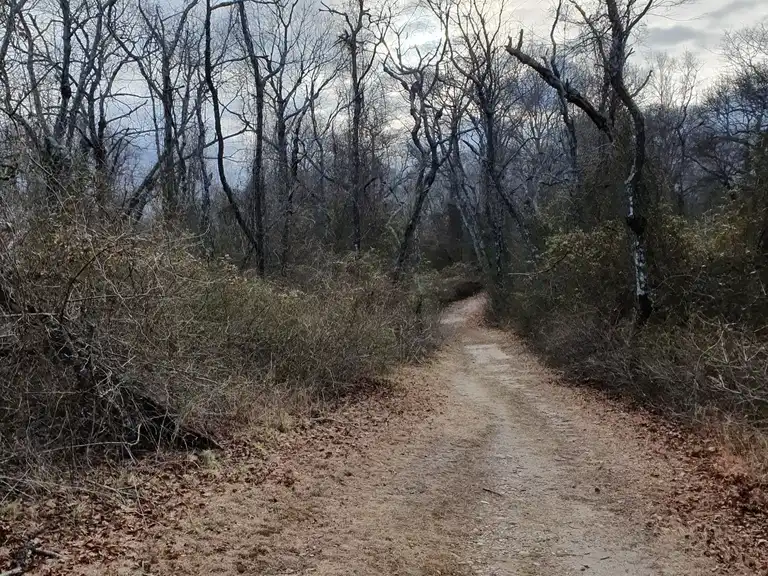 Joan C. Coles, Red, Yellow, Blue and Green Trail loop — Mashomack ...