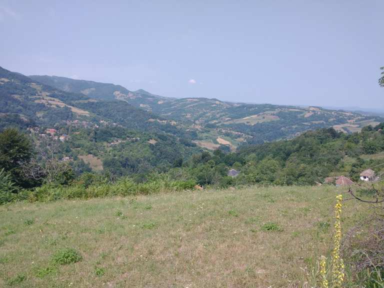 Strada Ripida dei Vigneti: percorsi ciclabili | Komoot