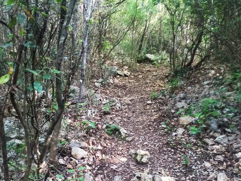 A cool, friendly single - Mountain Bike Trails & Tracks | Komoot