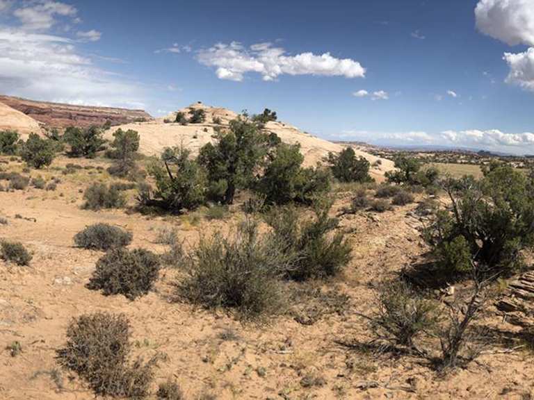 Chisholm Trail to Coney Islands loop — Horsethief Area — Moab ...