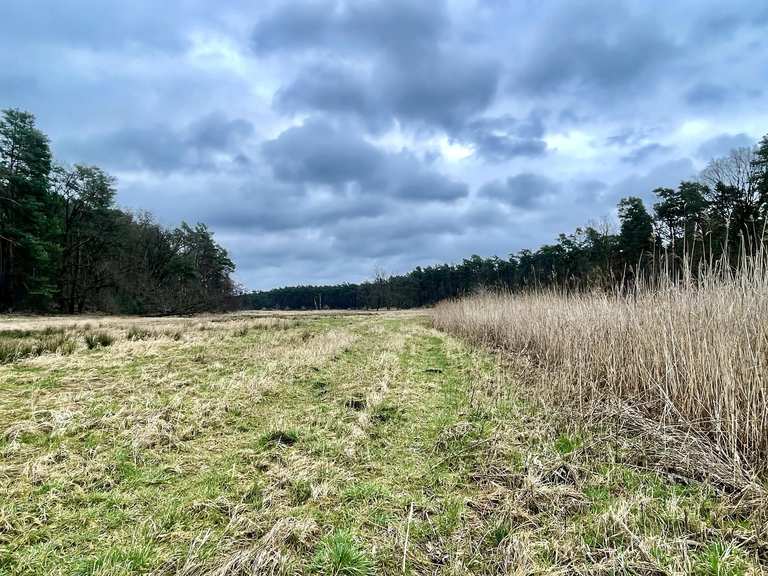 Wiesen an der Müggelspree: Wanderungen und Rundwege | komoot