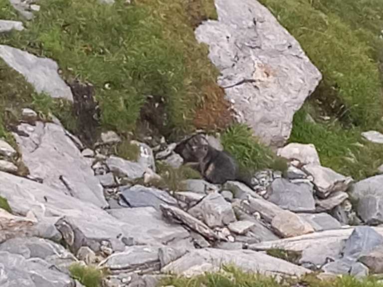 Kärntner Grenzweg – trasy piesze | Komoot