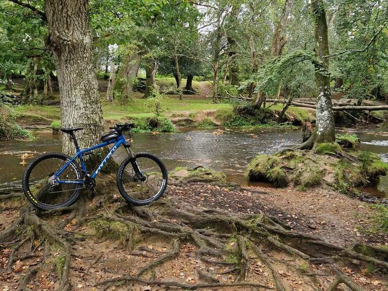 Black Knowl, New Forest National Park - Cycle Routes and Map | Komoot