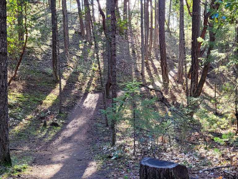 Backside Loop Trail and Wild Rose Loop Trail from the Espey Trailhead ...