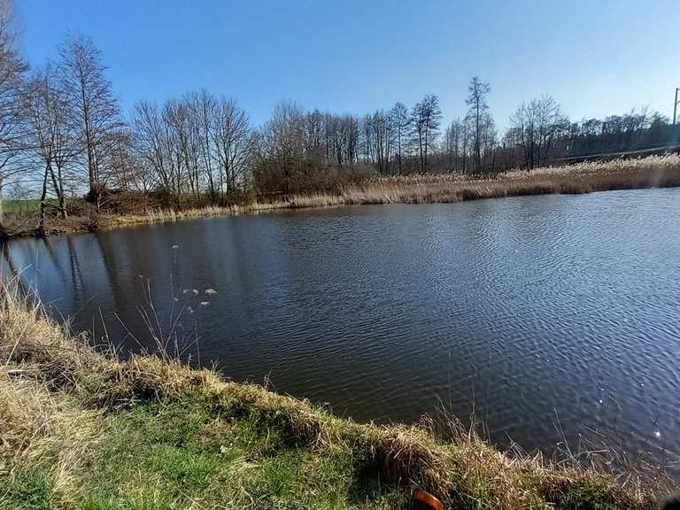 Eichelsee Mainbernheim: Mountainbike-Touren und -Trails | komoot